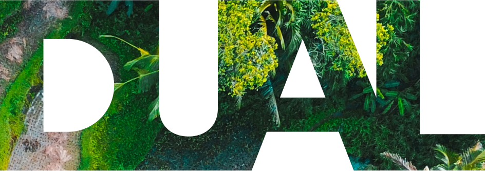 DUAL Asia - Innovative, specialist insurance solutions